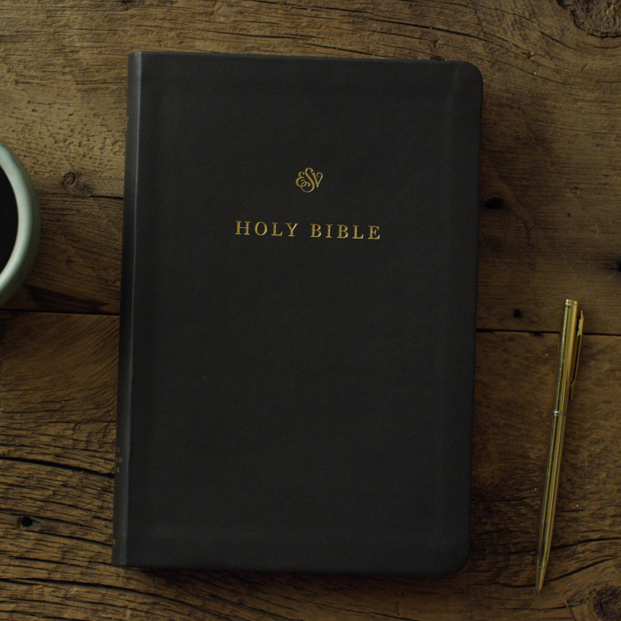 ESV Gift and Award Bible (TruTone, Black) | The Good Book Company
