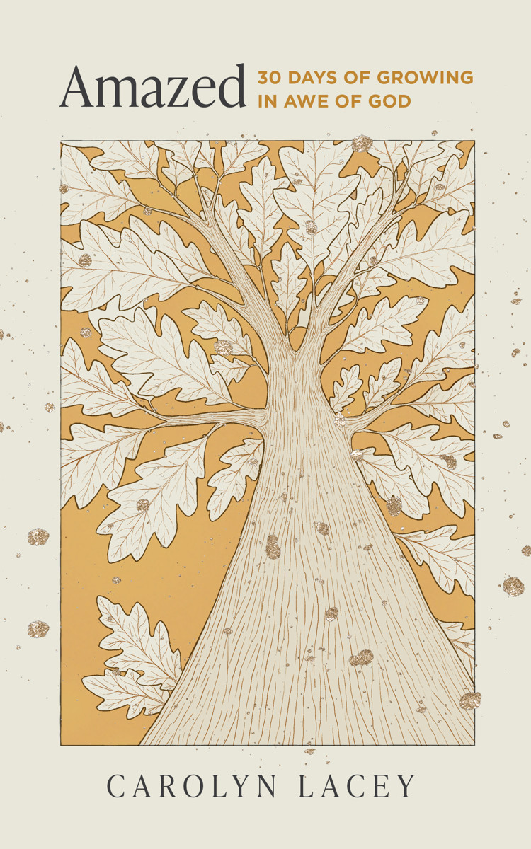 Amazed (ebook) - Carolyn Lacey | The Good Book Company