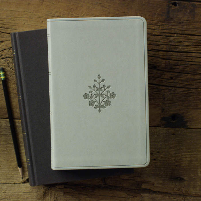 ESV Large Print Value Thinline Bible (River Stone) | The Good Book Company