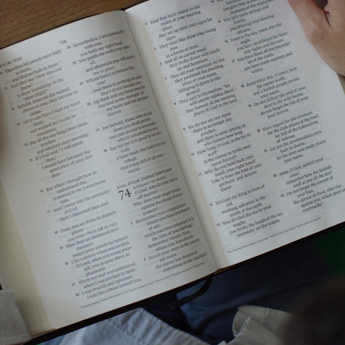 ESV Large Print Wide Margin Bible | The Good Book Company